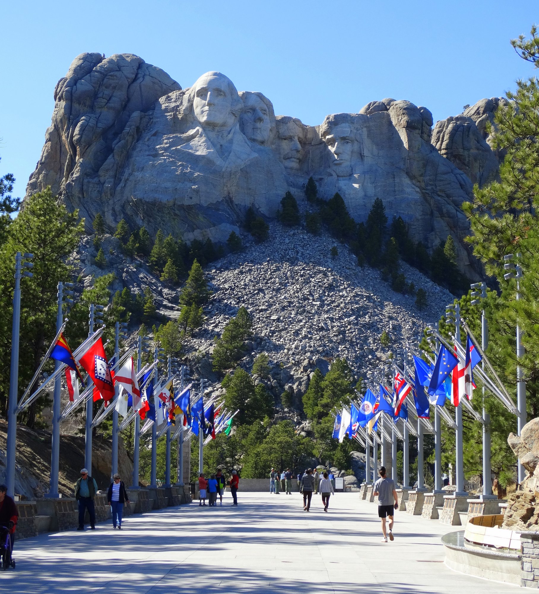 Sight seeing | Denise Fuller