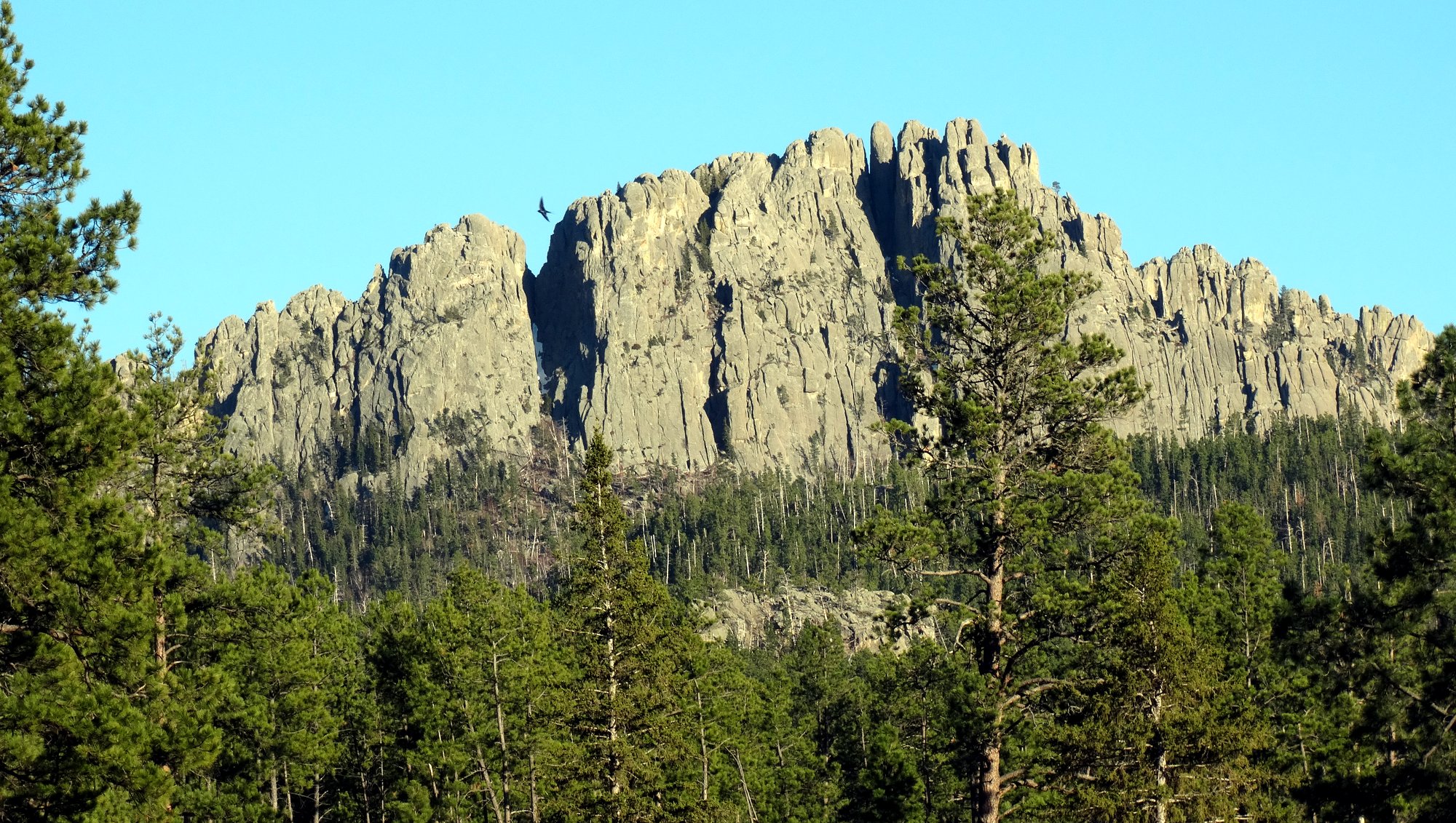 Sight seeing | Denise Fuller