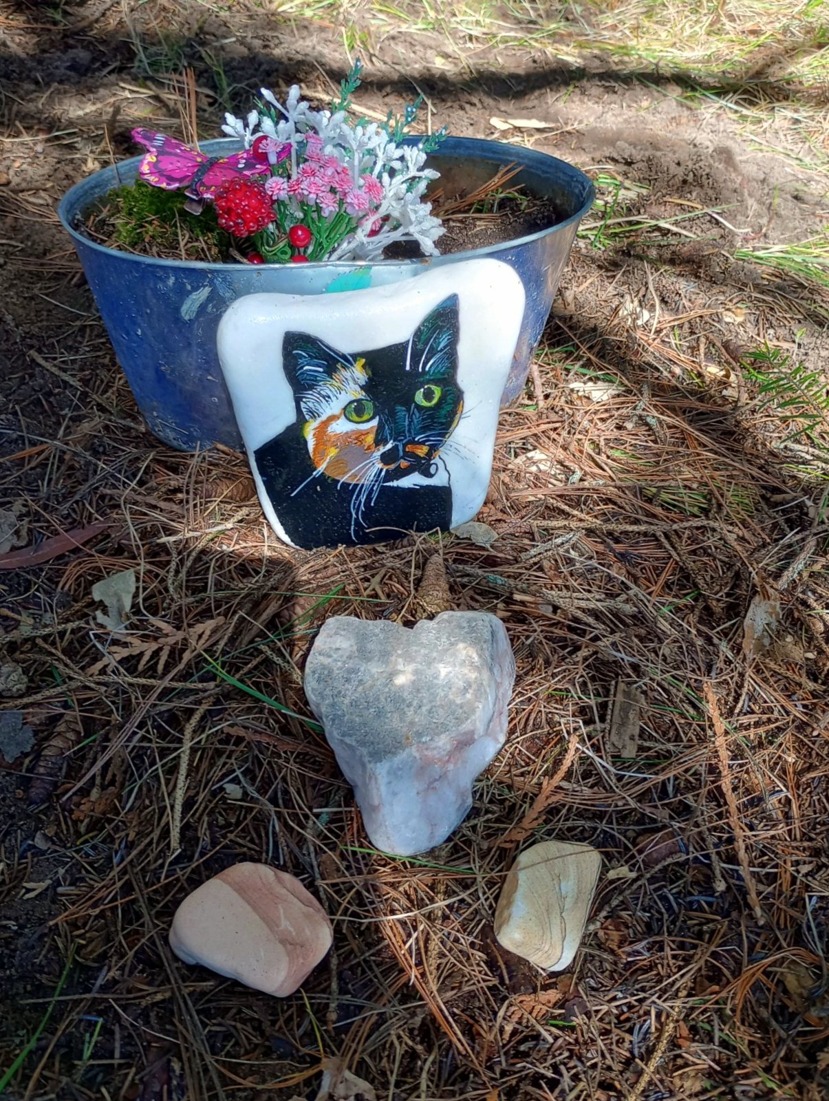 67 years old!? | Denise Fuller