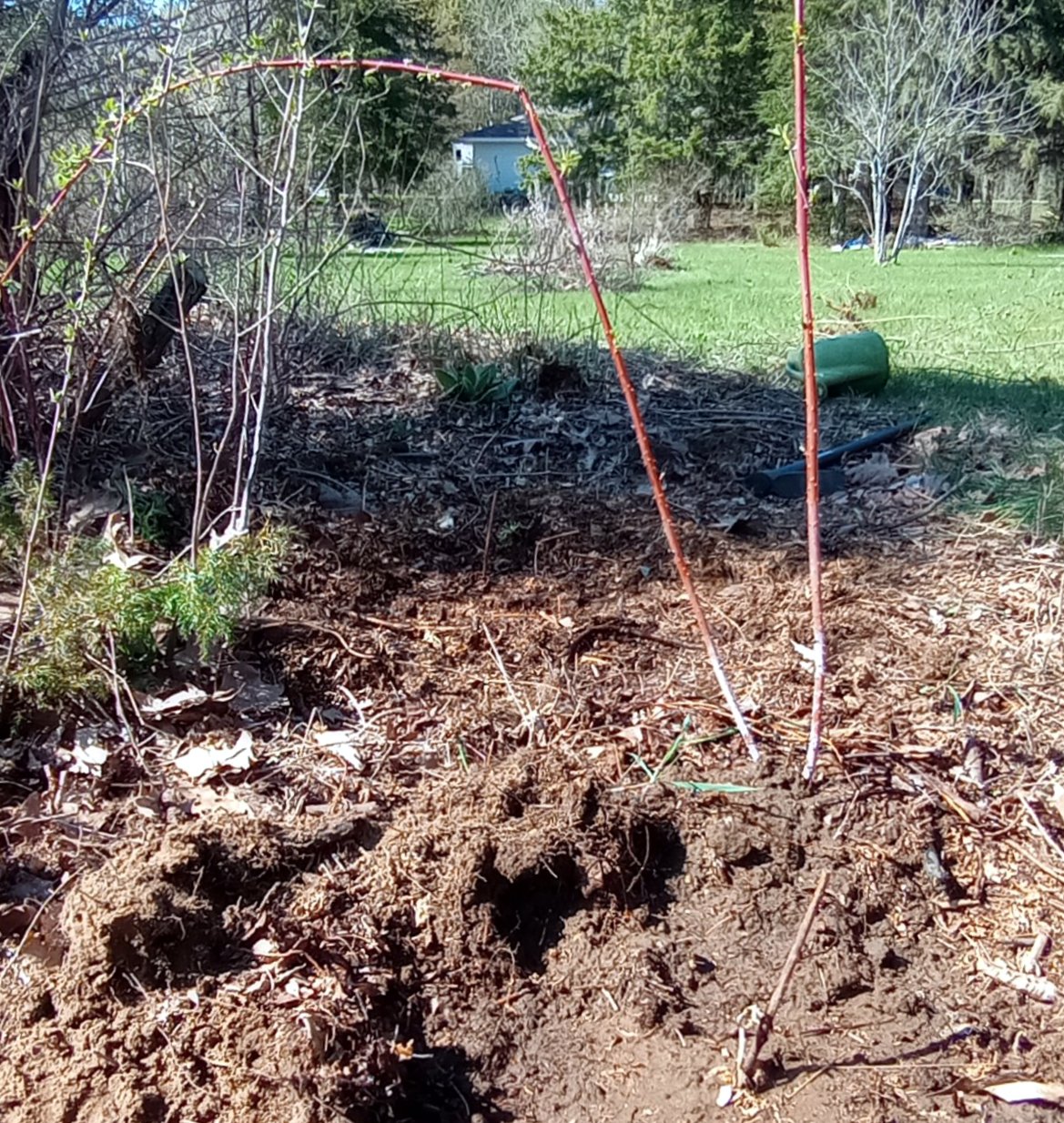 67 years old!? | Denise Fuller