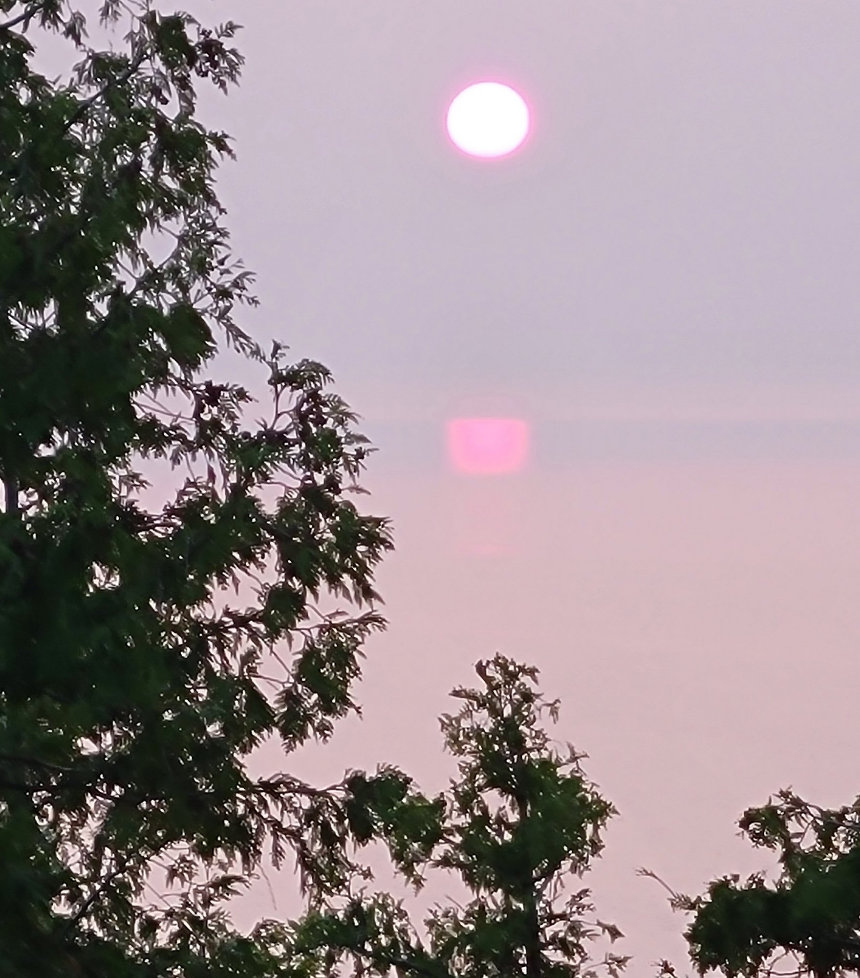 Introduction to our new daughters | Denise Fuller